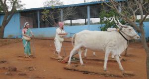 Hemareddy Mallamma Temple Srisailam, India (Timings, History, Entry Fee ...